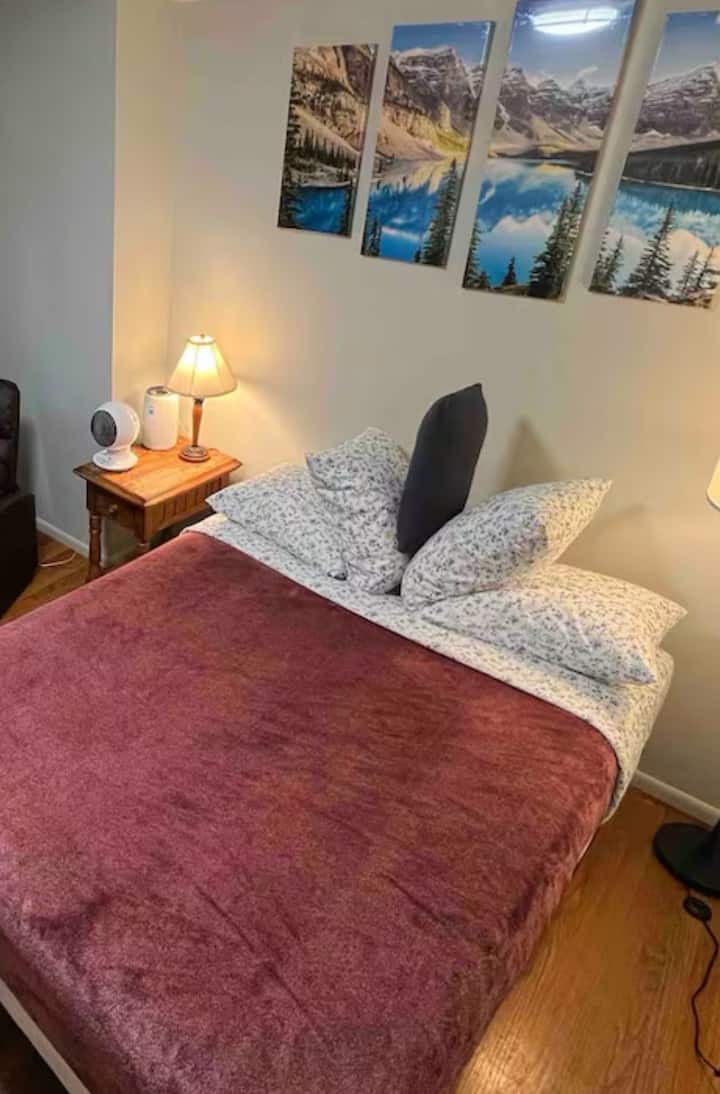 Room Near Wmu In Kalamazoo 3 - Kalamazoo, MI