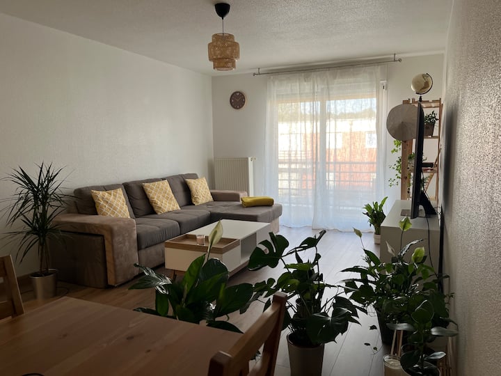 Appartement T2 Proche Du Centre-ville - Lingolsheim