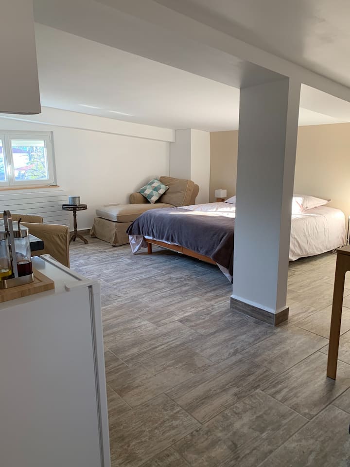 Studio Cosy Piscine Parking - Blagnac