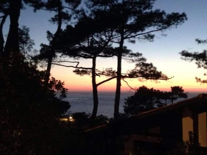 Maison Albatros , Chambre  D'hôtes,  Pyla-sur-mer - Dune du Pilat