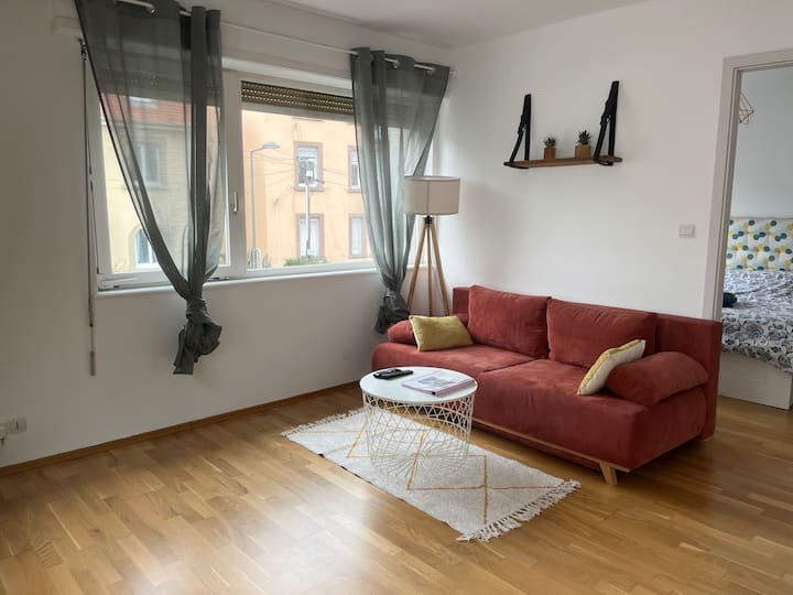 Joli Cocon Avec Parking Proche Du Centre Ville - ストラスブール