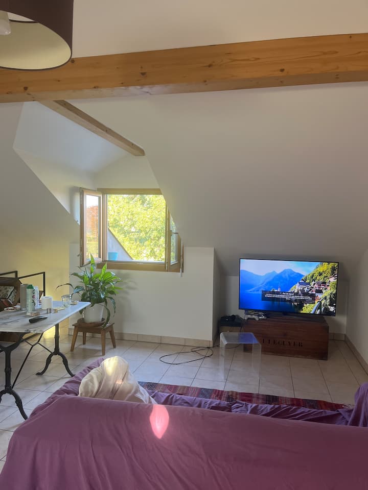 Appartement Dans Ferme Suisse - 