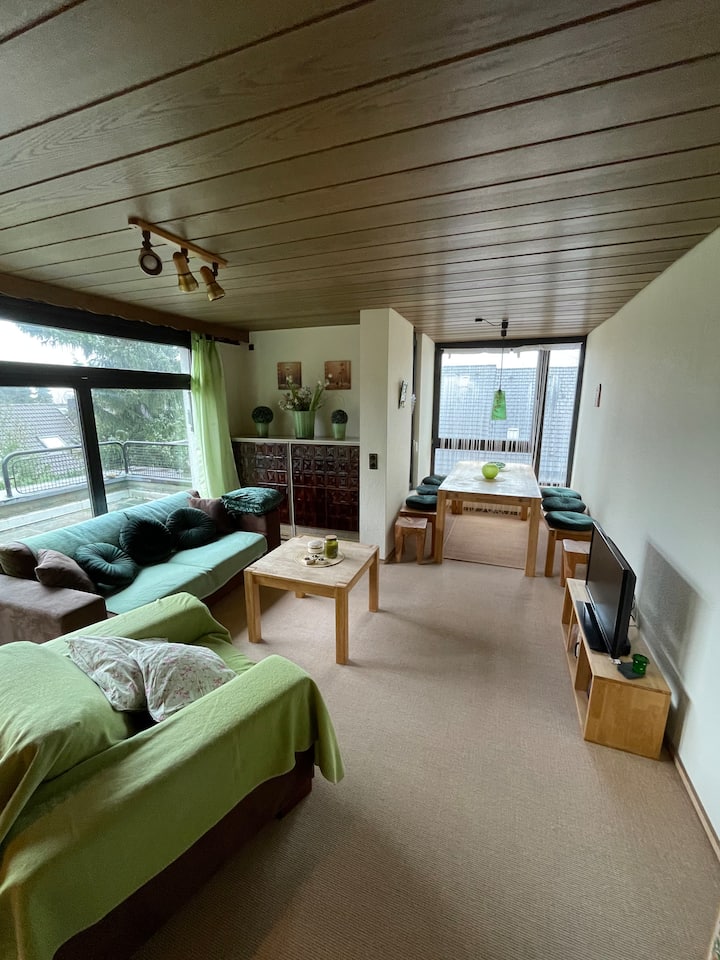 Fewo-hildfeld-winterberg- - Willingen