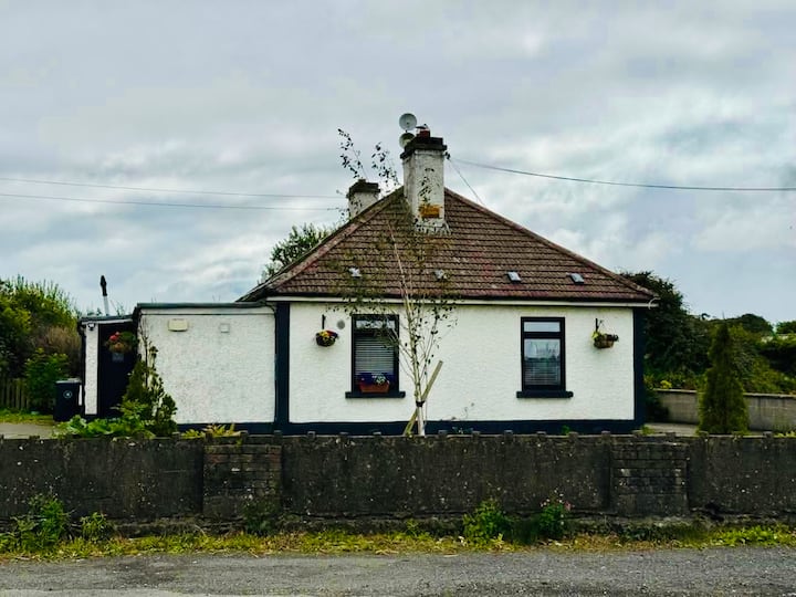 The Bizzy Lizzy - Malahide