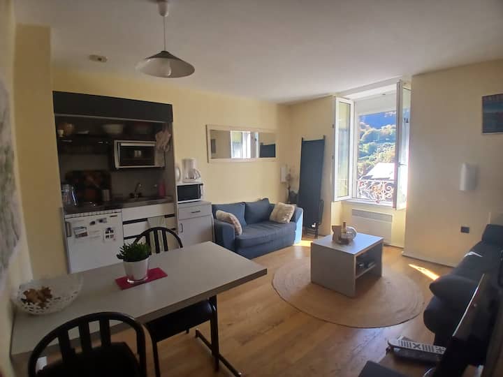 Proche Salers Et Puy Mary - Salers