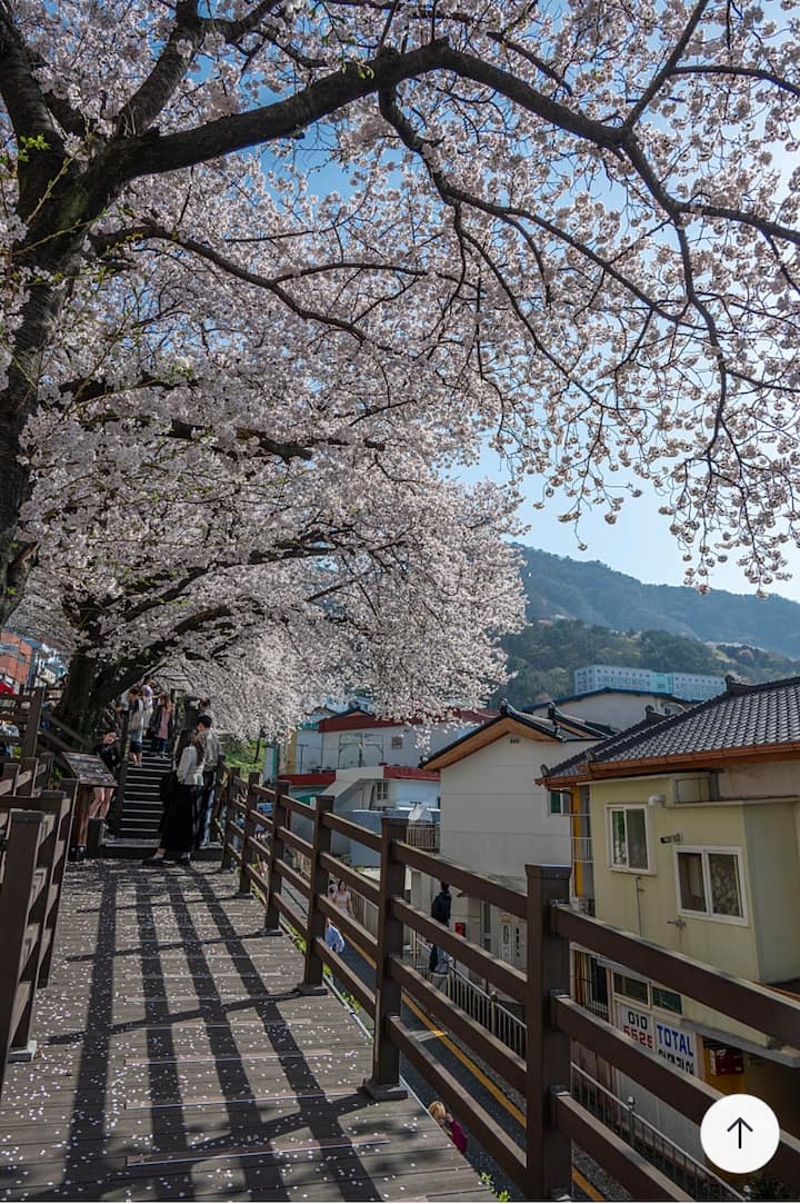 우리만의 프라이빗독채단독주택
부산도심야경 벗꽃길걷기
옥상 노을감상

침실3개-8인침대이용 - Busan