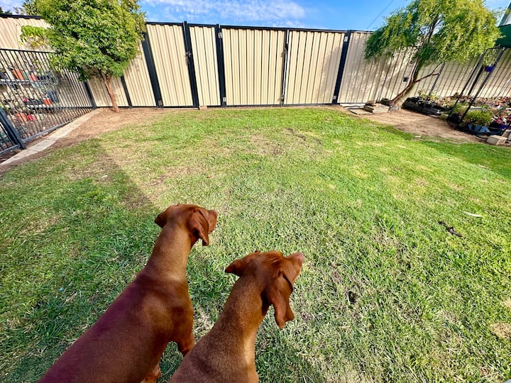 Safe And Secluded Guesthouse - Caboolture