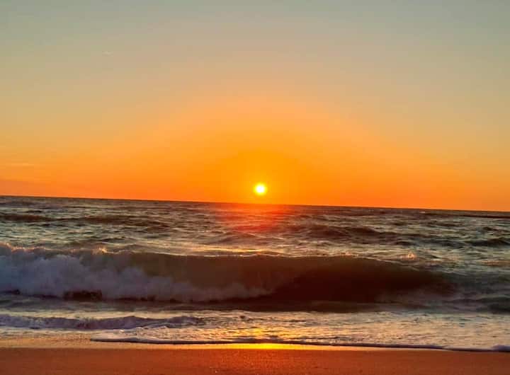 Gulf-coast 2 King Beds Pet Friendly Close To Beach - Stump Pass Beach State Park, Englewood