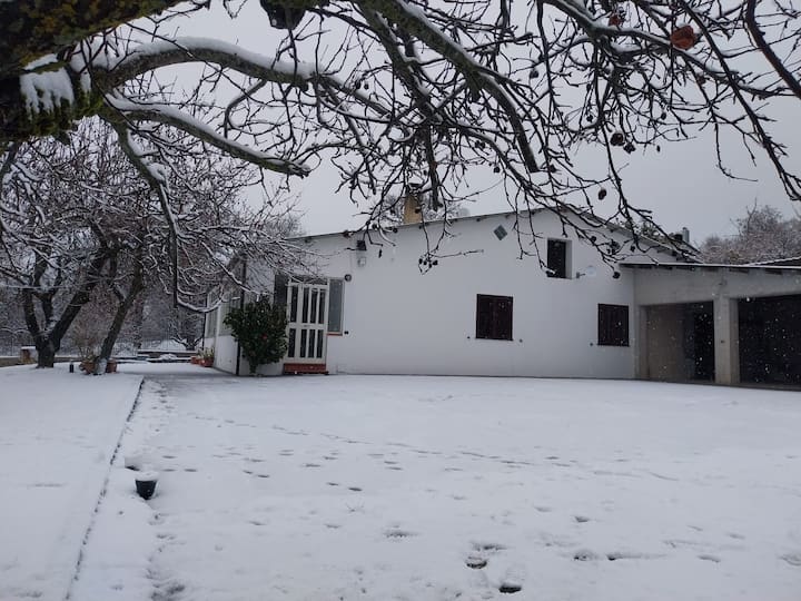 Villetta Indipendente Fra I Pini Della Sila (Cs) - Calábria