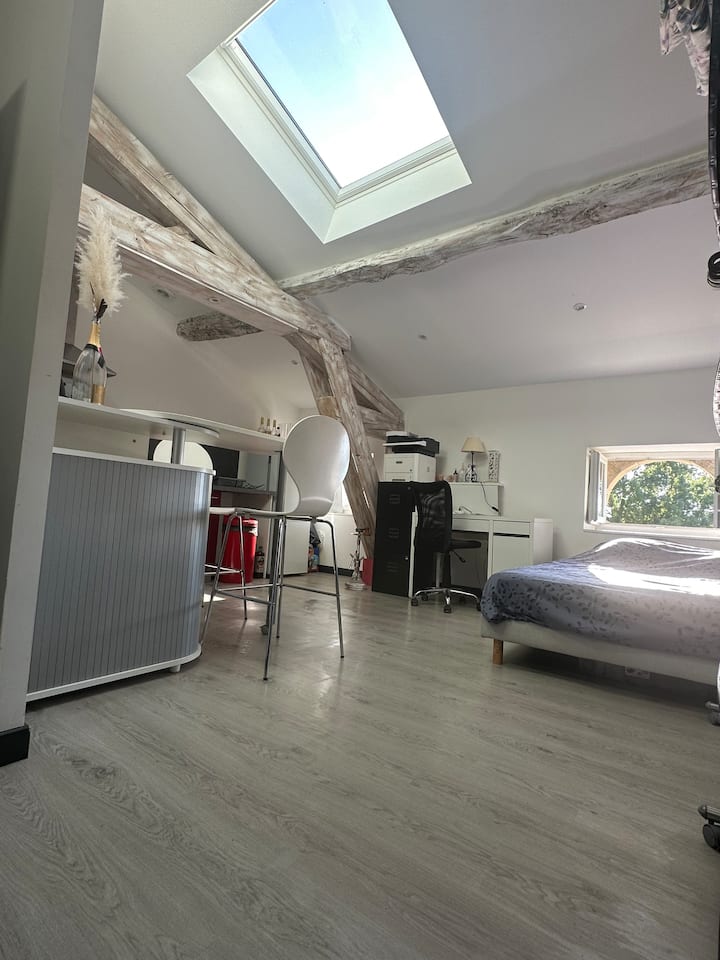 Studio Dans Maison De Maitre - Castres