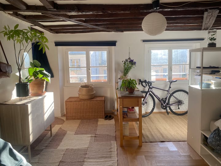 Charmant Studio Au Coeur De Versailles Château - Versailles