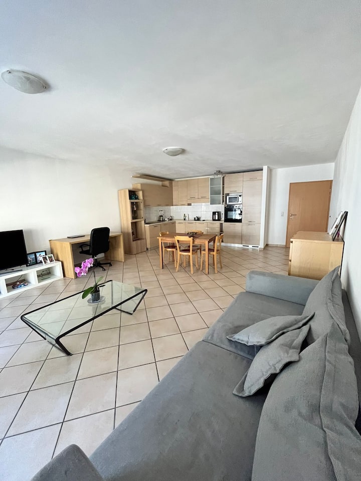 Charming Luxembourg City Centric Located Apartment - Luxembourg