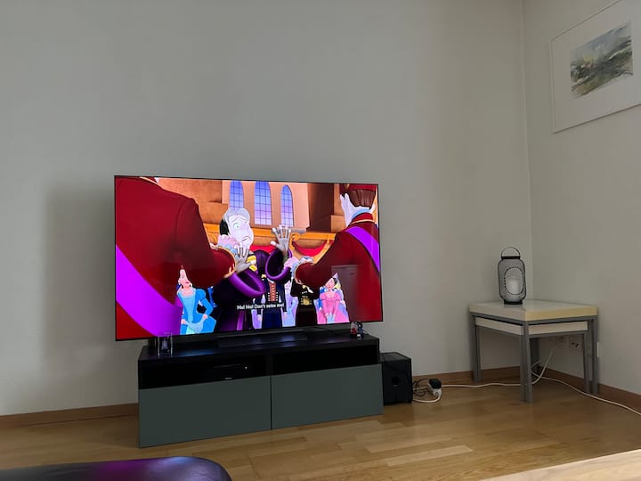 1 Bedroom Apartment - Zurich