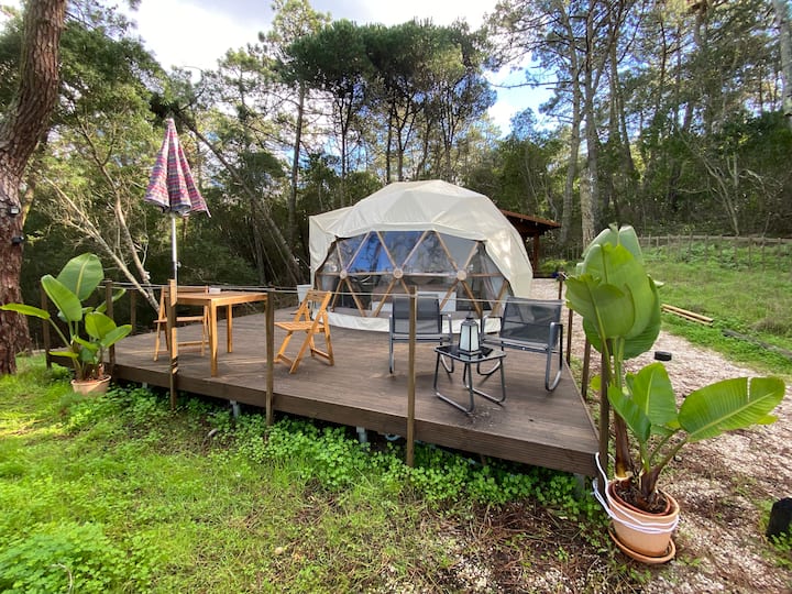 Dôme Douillet – Forêt De Colares (Sintra) - Sintra