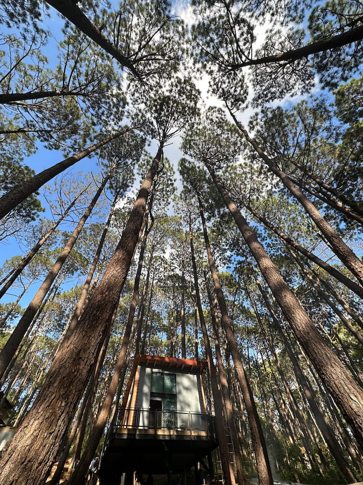 Cabaña En Mazamitla - Jalisco