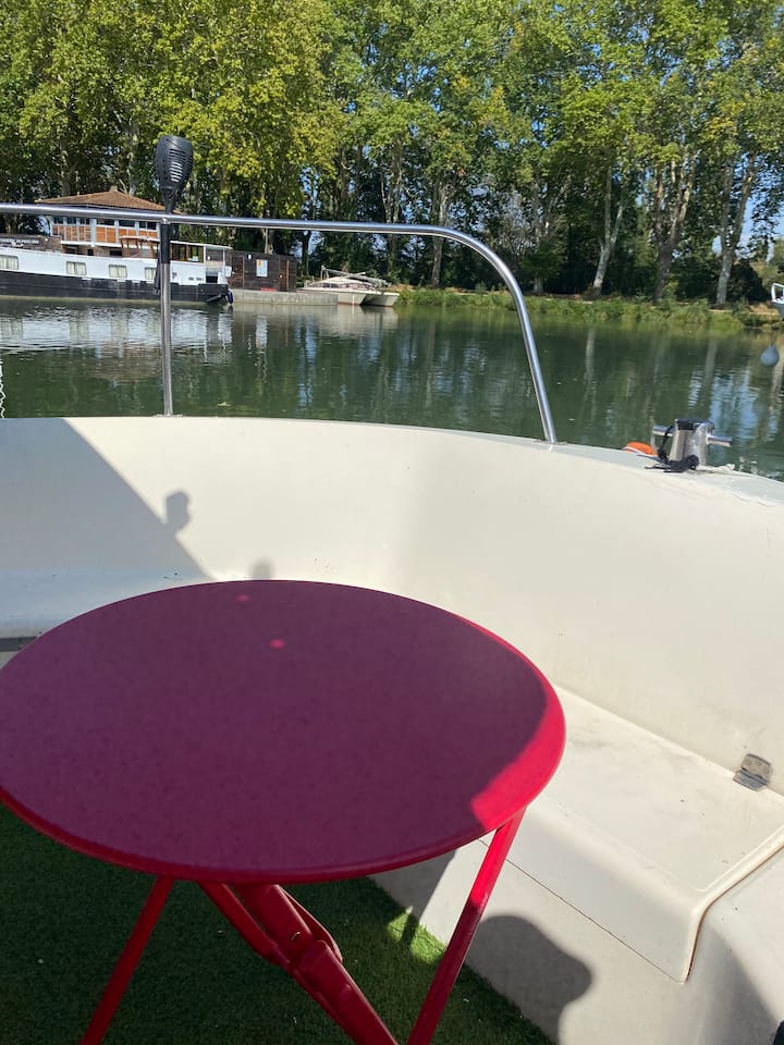 La Poule D Eau - Castanet-Tolosan