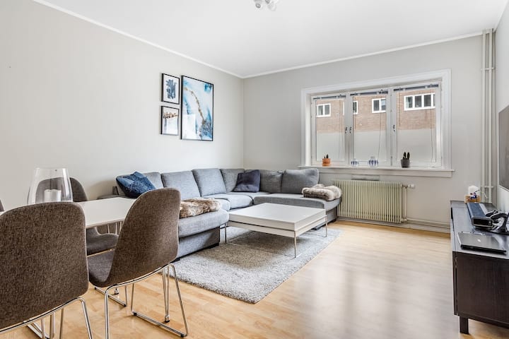 Sentral Leilighet På Rosenhoff - Oslo
