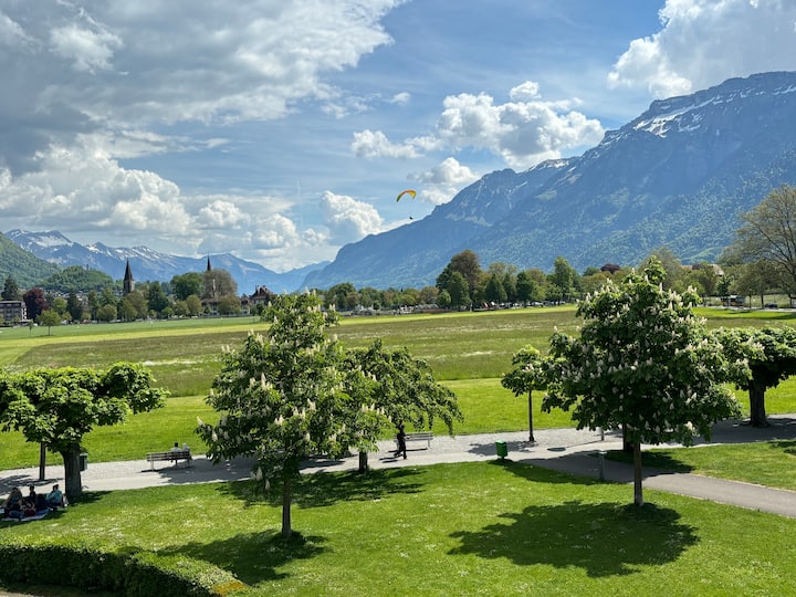 Center Park Apartment - Interlaken