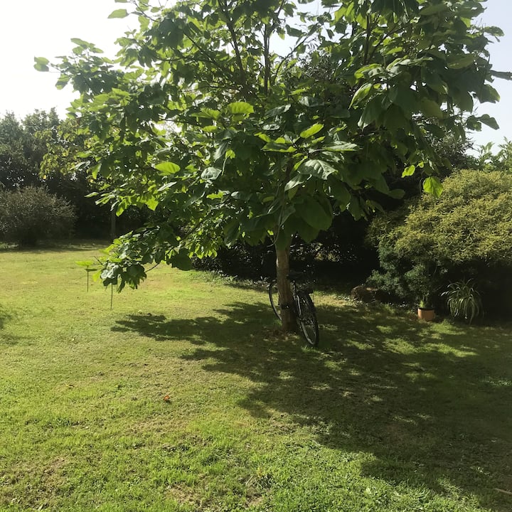Appartement Plein Pied,  Jardin, Mer Et Campagne - Tréguier