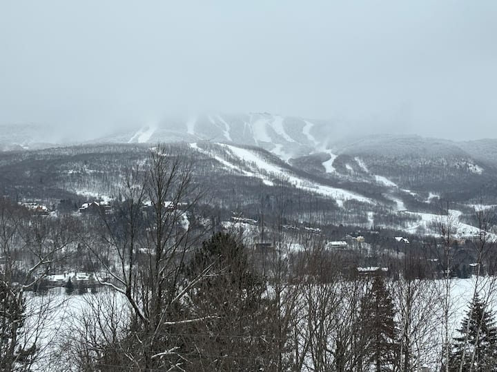 Le Belvedère Mont-tremblant (Citq 295448) - Mont-Tremblant