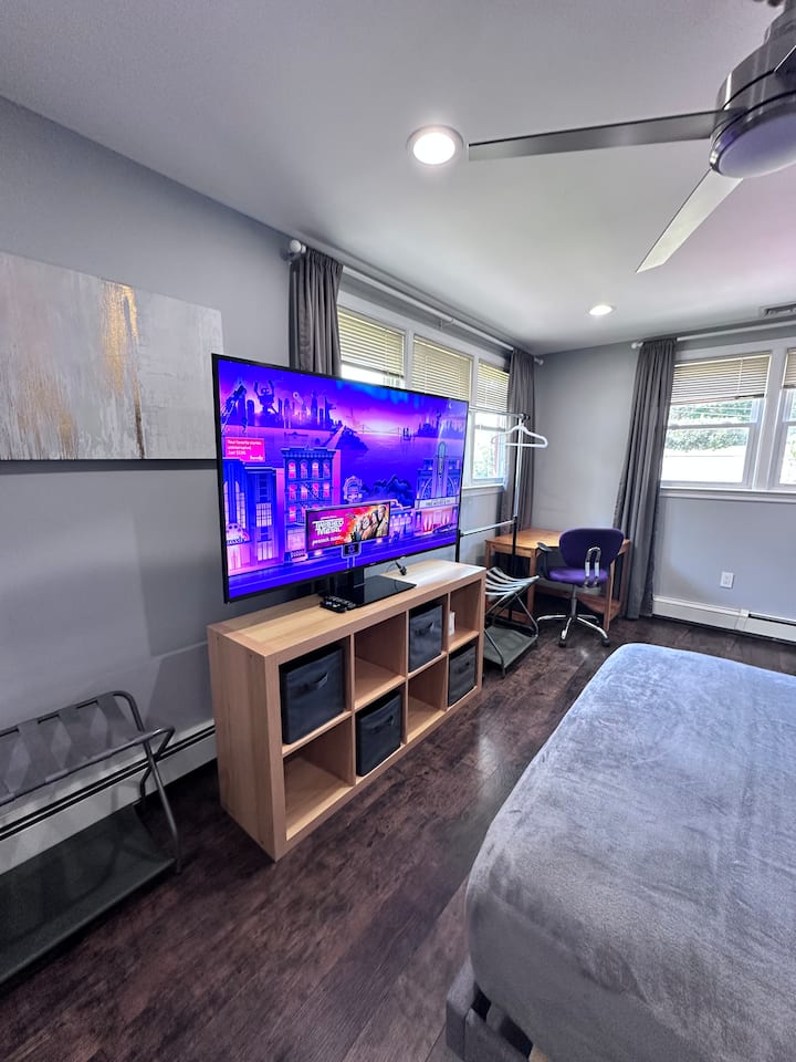 Zenoasis | 1.2mi To Numc • Private Entry • 70” Tv - Garden City, NY