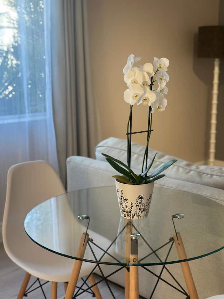 Heldervue Flatlet (4), Somerset West. - Somerset West