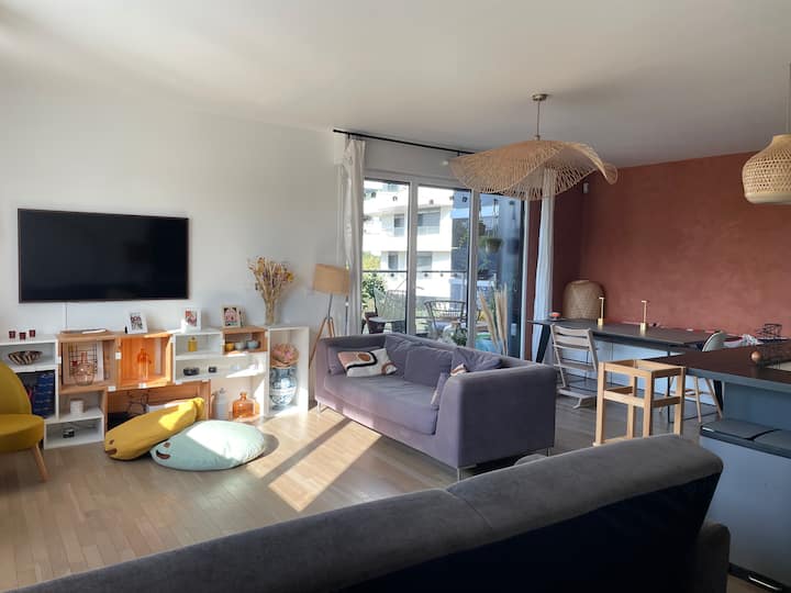 Appartement  Terrasse Face îLe St Germain - Issy-les-Moulineaux