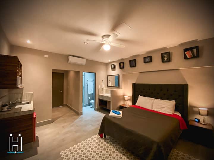 Casa Morelos - Suite #3 - Monterrey