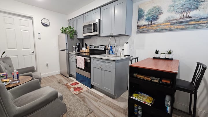 Comfy Apartment All You Need - Philadelphia, PA