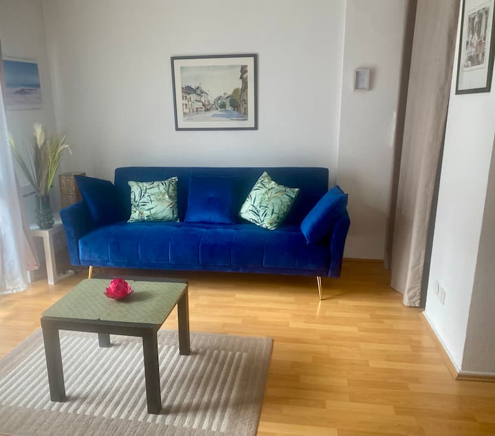 Lumineux 2 Pièces Cosy Au Centre Ville - Gare de Strasbourg Ville