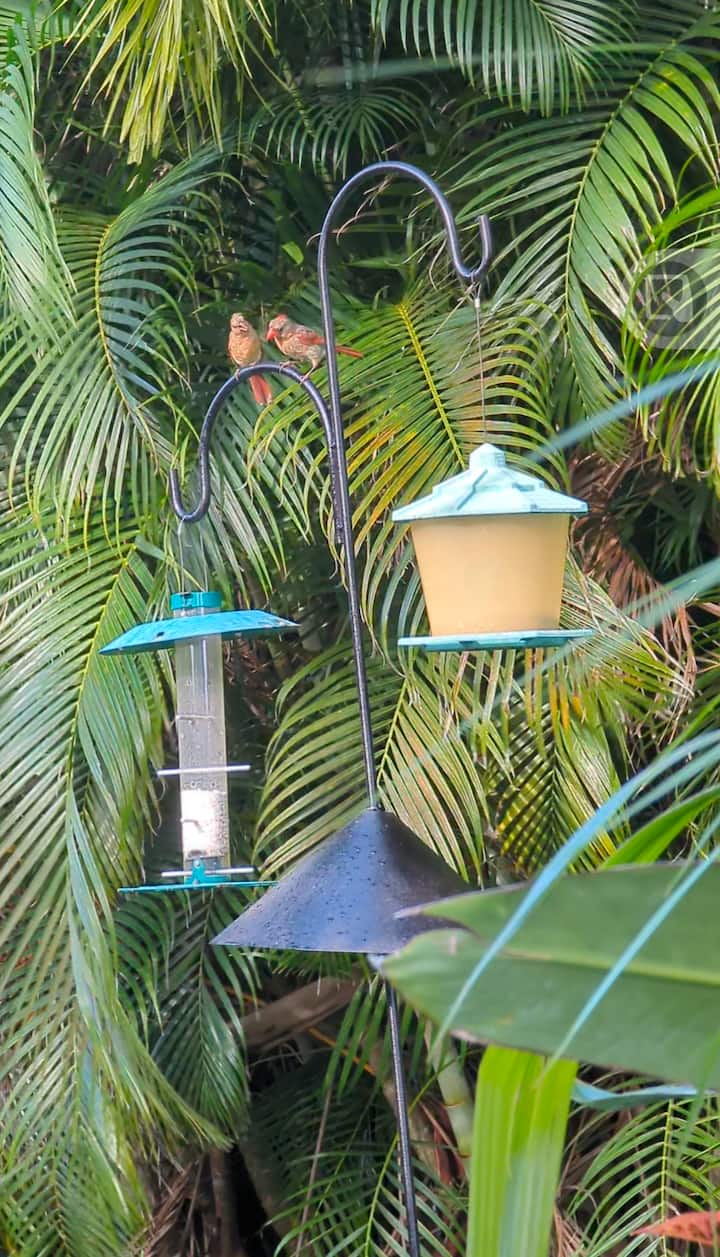 Secluded Apartment • Private Patio • Pet-friendly• - Port St. Lucie, FL