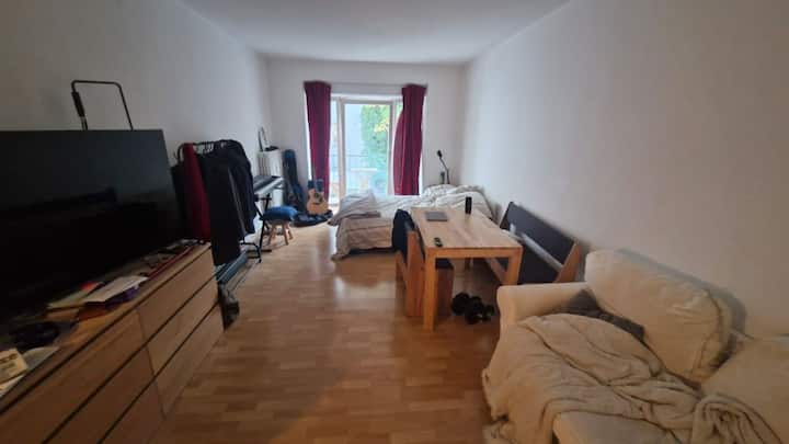 Bright Apartment 20 Minutes From The Oktoberfest. - Munich
