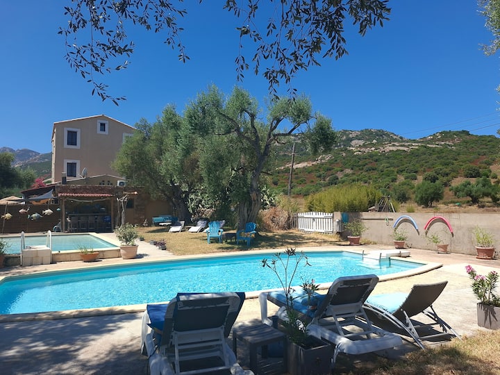 Calvi, Appartement 4p Piscine, Calme Proche Plages - Calvi