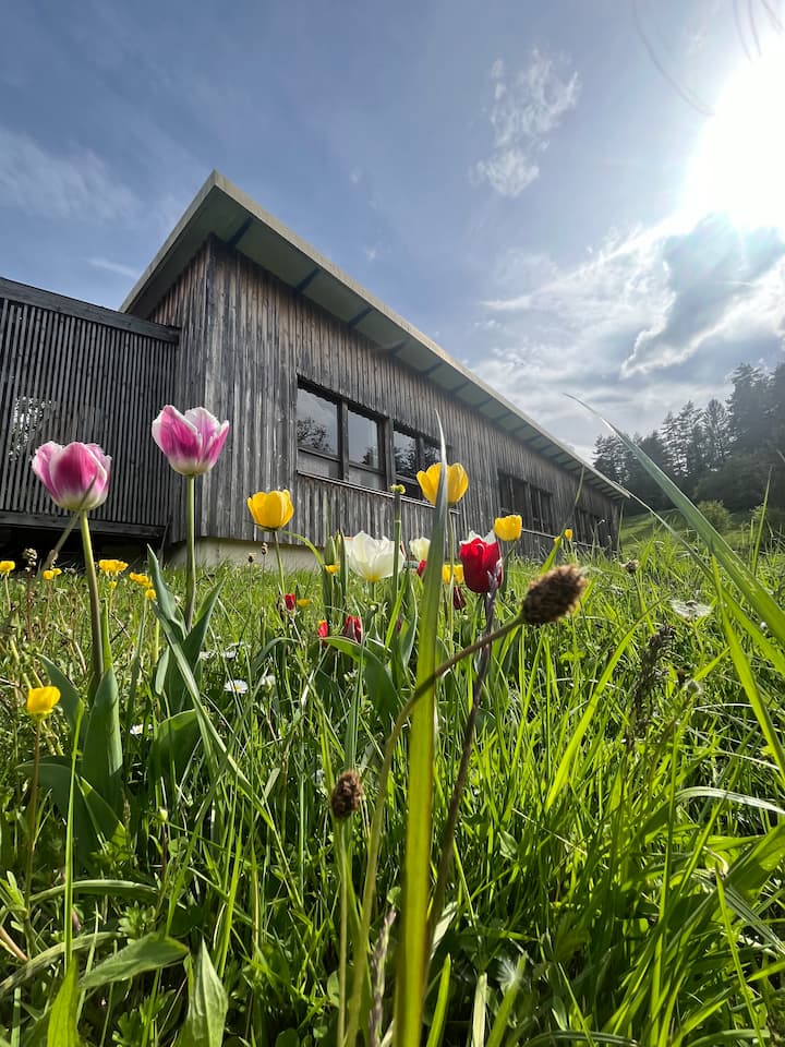 ÉVasion Dans La Nature : Oasis Caché, 15 Personnes - Jura