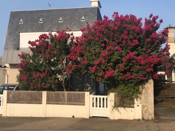 Larmor J’adore ! - Larmor-Plage