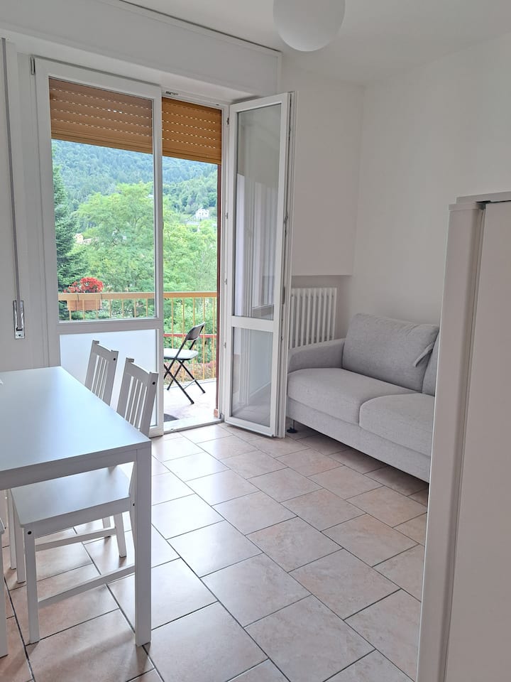 L'appartamento Di Dinky Con Balcone Vista Bosco - Mandello del Lario