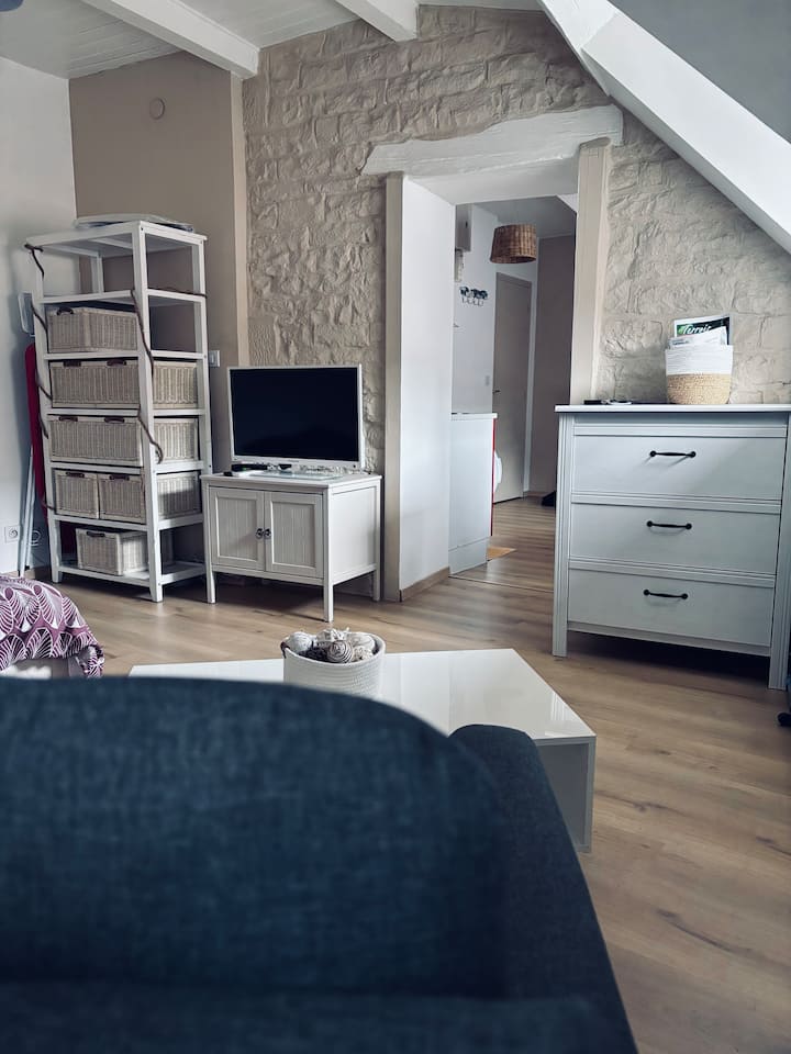 Studio Centre Ville De Luxeuil - Luxeuil-les-Bains