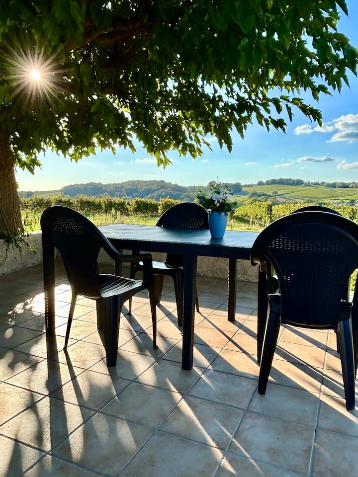 Gîte Au Calme Au Cœur Des Vignes - Séjour à 2 - Saint-Macaire