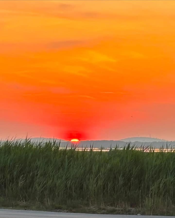 The Most Spectacular Sunset Views On Plum Island. - Salisbury