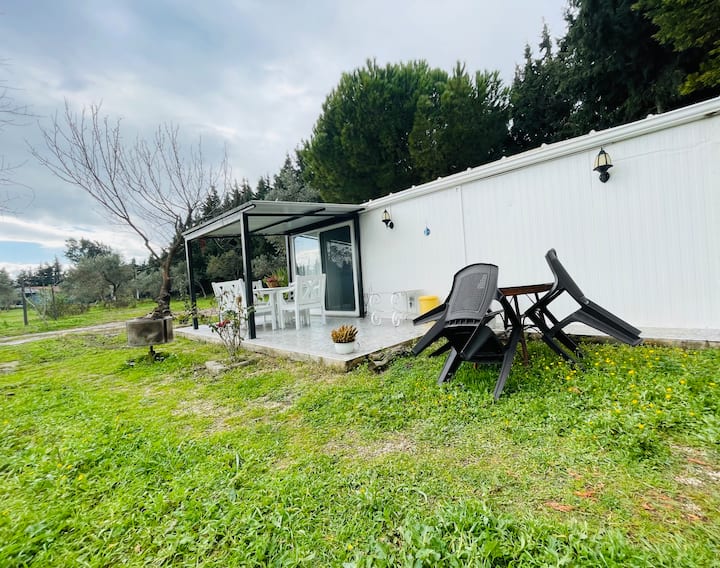 Lotus Bahçeli ÇIftlik Evi - Urla