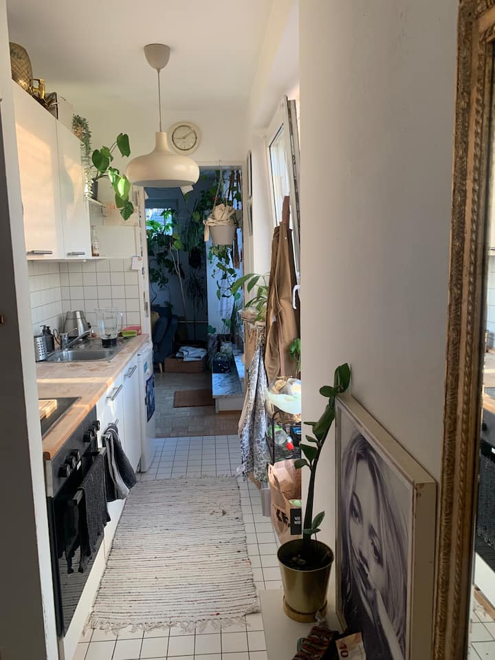 Little Green Home - Cologne