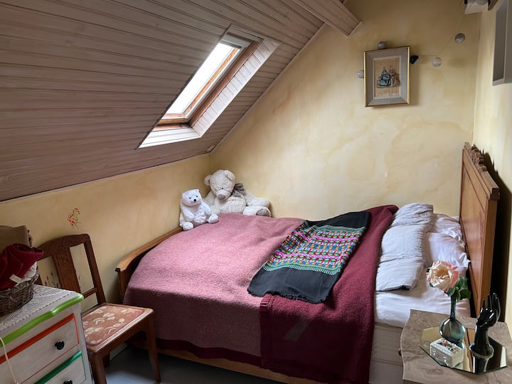Chambre 2 Adultes 1 Enfant - Saint-Dié-des-Vosges