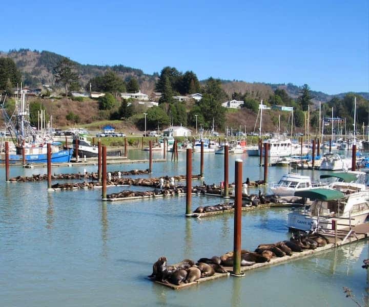Harborlite Luxury Lodging At The Port *Walk-2-dock - Brookings, OR