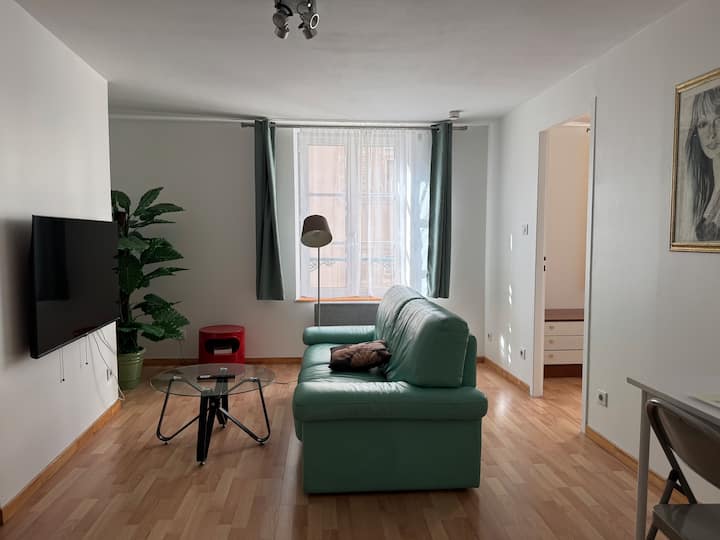 F2 Cosy- À Deux Pas De La Place Stanislas - 南錫