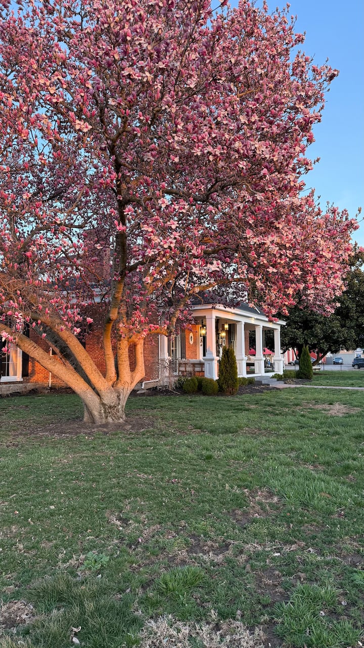Historic Spring Retreat • Large 5br Getaway - Ghent, KY