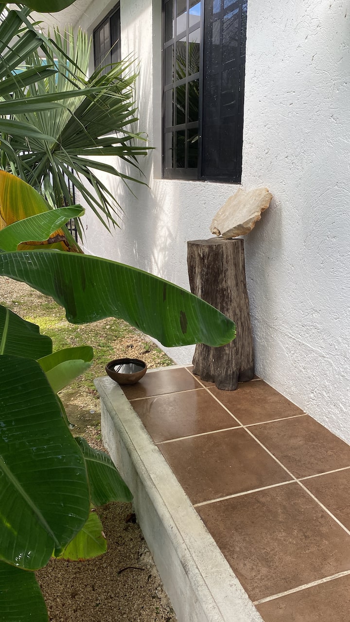 Estudio Coco’s - Playa del Carmen