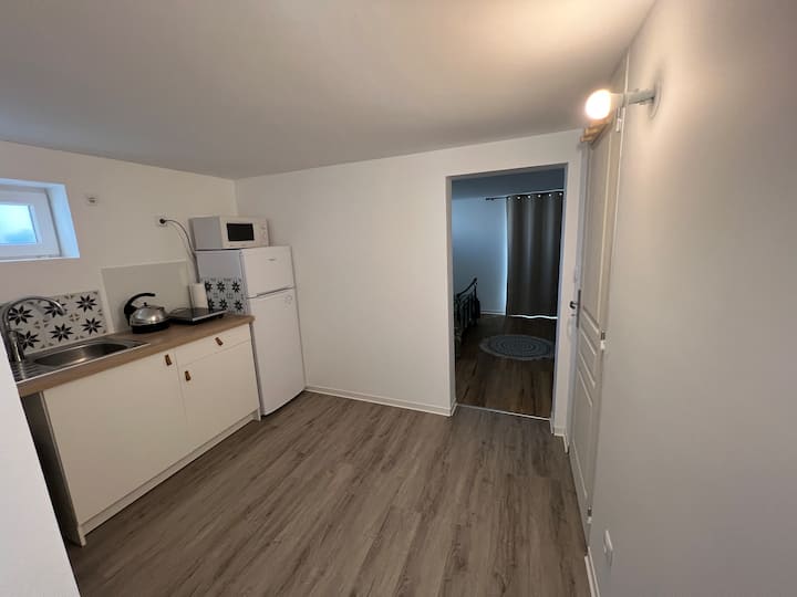 Chaleureux Studio Rez De Jardin - Haguenau