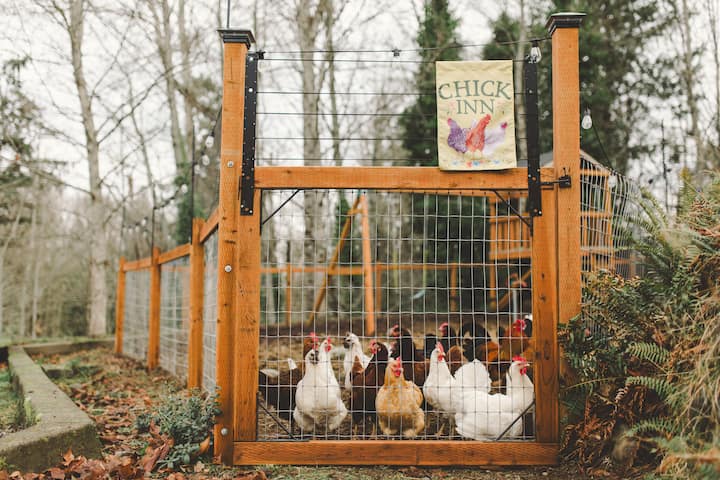 Balconyview+pickleball+booknook In Woods - Port Angeles, WA