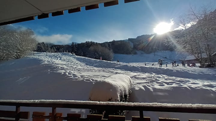 "Le Bouquetim"au Pied Des Pistes De La Station - Lac Léman
