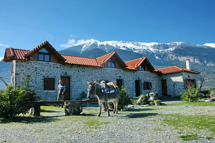 Tithorea Farm ~ Studio 2 - Grèce